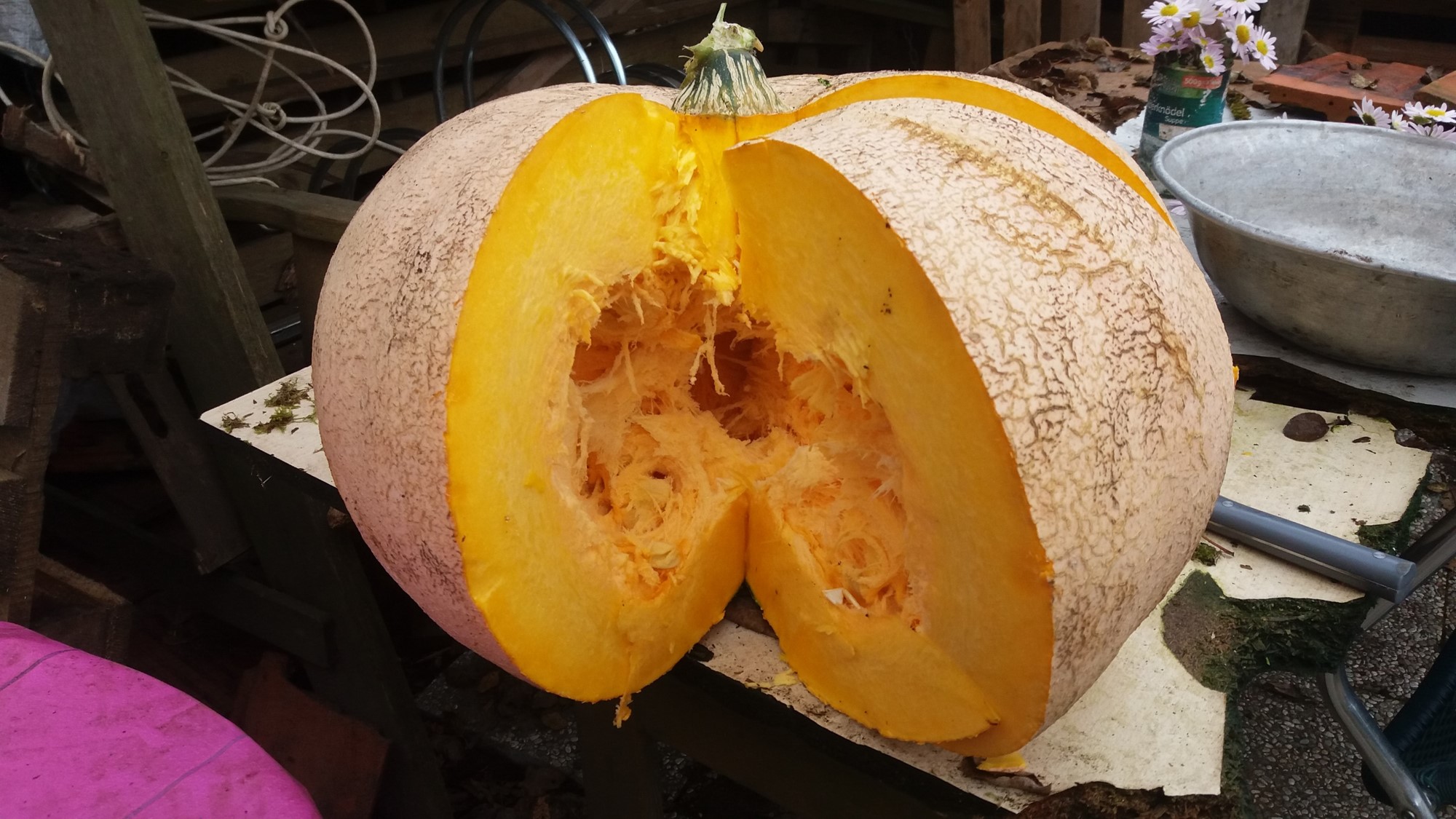 „Märchen vom Thonhof…“ Peter Turrini. Rückkehr an meinen Ausgangspunkt ...